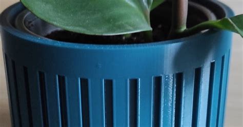 Flowerplot By Dmlb Download Free Stl Model