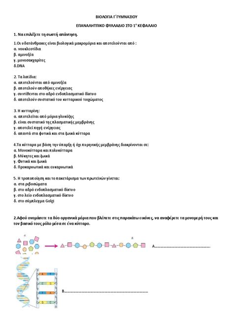 ΕΠΑΝΑΛΗΨΗ ΒΙΟΛΟΓΙΑ Γ΄ΓΥΜΝΑΣΙΟΥ Pdf