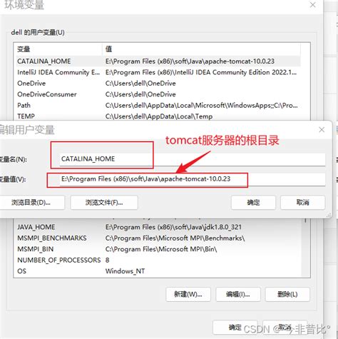 Javaweb编程——tomcat服务器的下载与环境配置服务器设置下载 Csdn博客