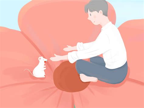 献给阿尔吉侬的花束 我是女侠 站酷ZCOOL
