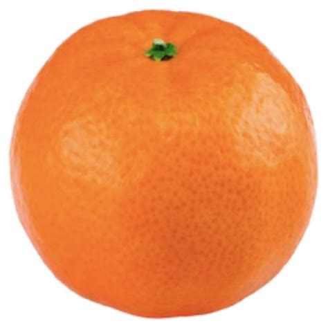 Anamoly Object Detection Dataset By Demodetection