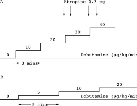 Bse Procedure Guidelines For The Clinical Application Of Stress