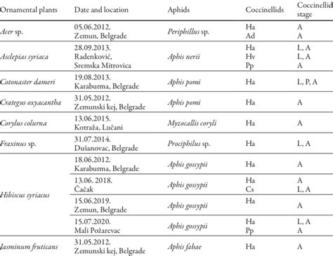 Ornamental Plants Infested With Aphids Used By H Axyridis And Native