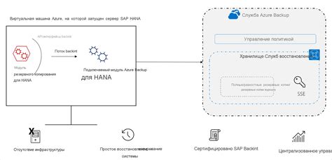 Сведения о резервном копировании базы данных sap hana на виртуальных