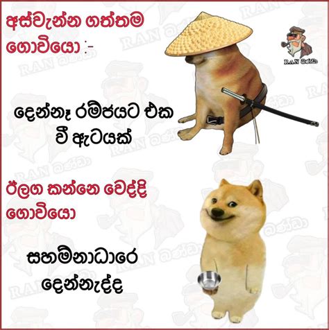 කෝමේ රනිලා වගේ නෙමෙයි අපි මේම මේම රජයේ වී ගඩබා පුරවනවා කිව්ව Open Market Economy තේරෙන්නේ නැති