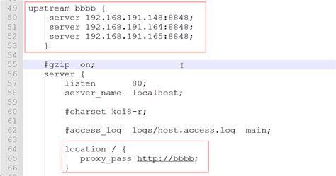 Nginx不管怎么配置 客户端启动都报错 · Issue 10452 · Alibabanacos · Github