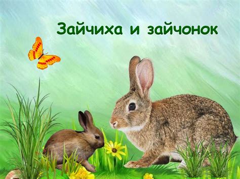 Мама и малыш в лесу. Интерактивная игра - online presentation
