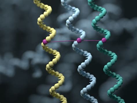 Ncm 2023 Houston Complex Phased Variants In Inherited Retinal Diseases With Long Read Sequencing