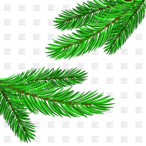 Pine Tree Branch Vector At Vectorified Com Collection Of Pine Tree Branch Vector Free For