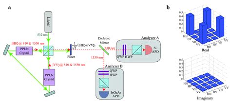 Generating And Measuring Entangled States A Experimental Setup A
