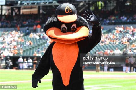 Baltimore Orioles Mascot Photos And Premium High Res Pictures Getty