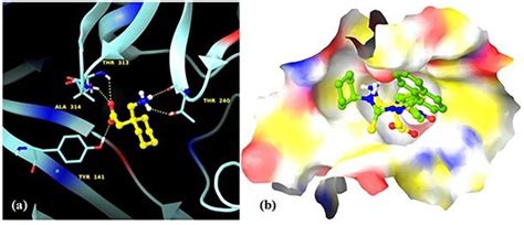 A Docked Pose Of Co Crystal Gabapentin Yellow Colour Represented Download Scientific