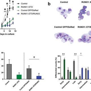 RUNX3 MRNA Expression In Normal Myeloid Cell Subpopulations And