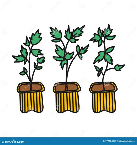 Simplified Colored Vector Illustration Of A Seedlings On A White Background Stock Vector