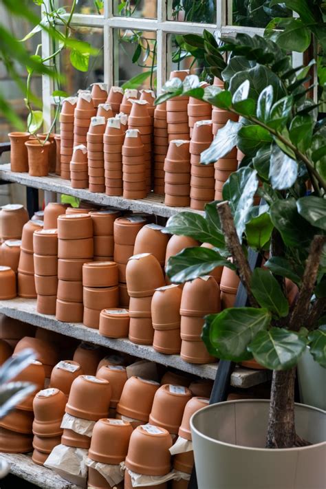 How To Clean Terracotta Cooking Pots At Paula Stacy Blog