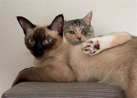 [bioinformatics]pathway Analysis For Genomic Variants Medium