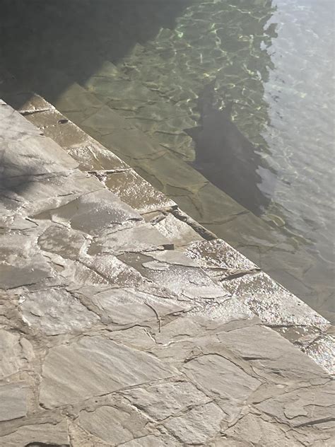 Img6697 Tim Barnes Flickr