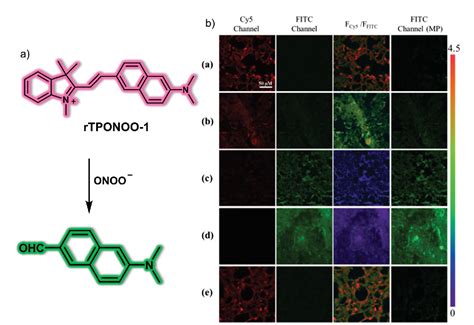 Figure 3 From Small Molecule Fluorescence Based Probes For Interrogating Major Organ Diseases