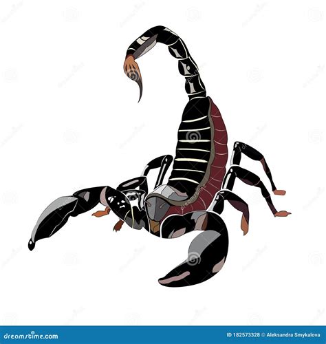 Color Vector Scorpion Stock Illustration Illustration Of Poisonous
