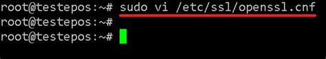 Net Core 5 6 連線SQL Server出現SSL Handshake failed with OpenSSL error
