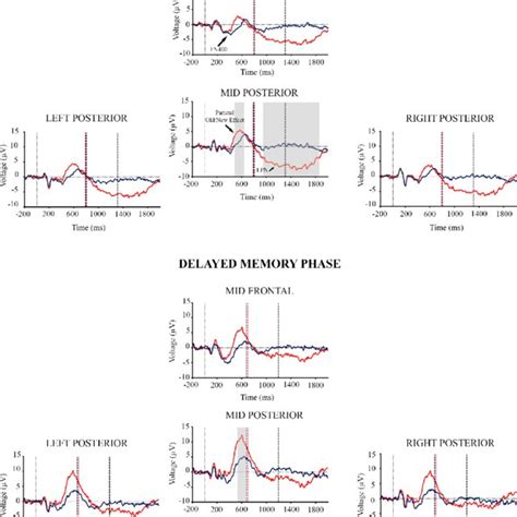 Grand Average Erp Waveforms At The Mid Frontal Mid Posterior Left Download Scientific Diagram