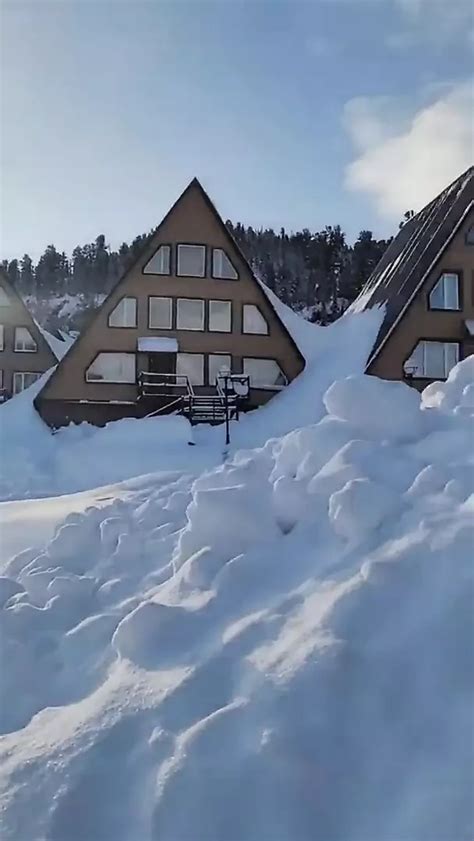 Alice Ginger Video Amateur Amateur Porn By My Club Xhamster