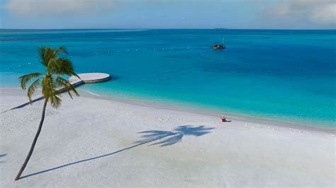 여름 야자수는 모래 해변과 청록색에 그림자를 드리운다 푸른 배경의 열대 해변 0명에 대한 스톡 사진 및 기타 이미지 0명 관광 그림자 Istock