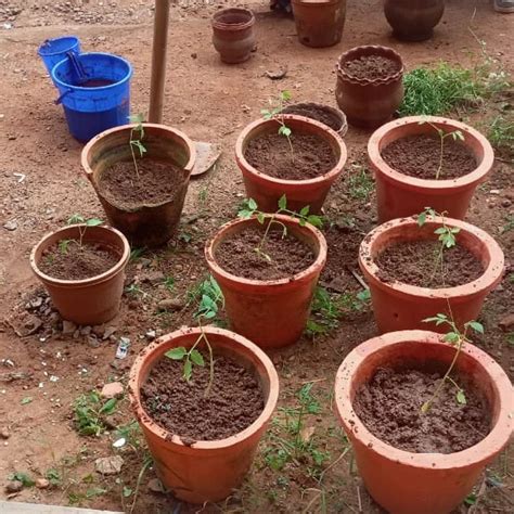 𝗡𝗦𝗦 𝗩𝗩𝗛𝗦𝗦 𝗡𝗘𝗠𝗢𝗠 Nssvvhssnemom • Instagram Photos And Videos