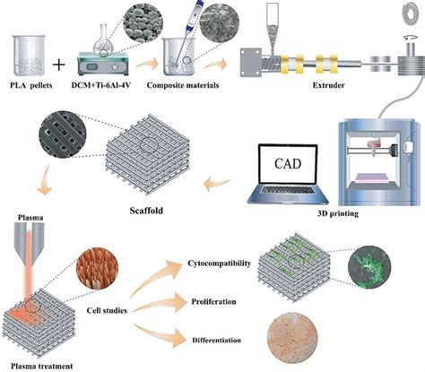Schematic Illustration Of The Method Used To Fabricate 3d Porous