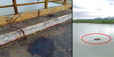 Dvb ယင်းမာပင်တွင် စစ်တပ်က ပြည်သူ ၃ ဦး သတ်ဖြတ်ပြီး အလောင်းကို ရေထဲပစ်ထား