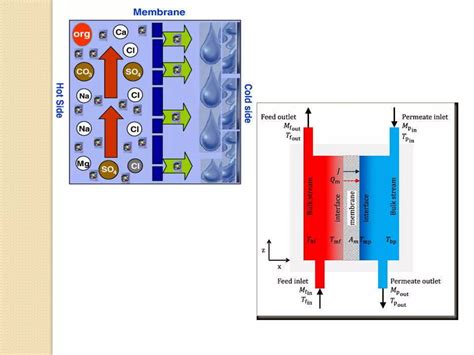 Membrane Separation Techniques Pptx