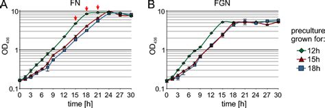 Growth Of C Necator Hp80 In Fn A And Fgn Medium B Inoculated From