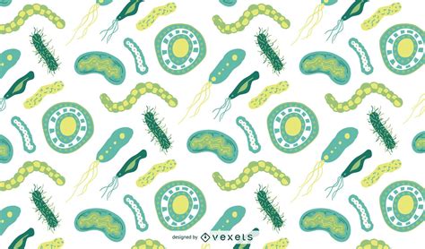 Bacteria Vector Vector Download