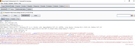 Burpsuit工具安装和基本使用方法brupsuit Csdn博客 Burpsuit工具安装和基本使用方法brupsuit Csdn博客