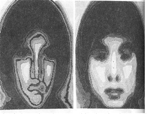 Figure 6 From Simulating The ‘other Race Effect As A Problem In Perceptual Learning Semantic