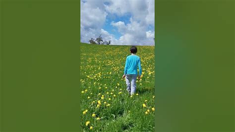 Pipi Langstrumpf Movie Song Shorts Pipilangstrumpf Nature Austria Youtube