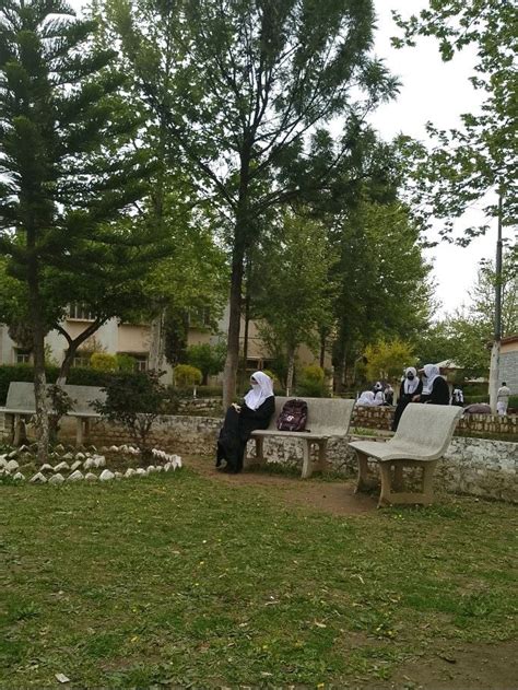 Asawar Tabarak On Linkedin Internship Newbeginnings Careergrowth