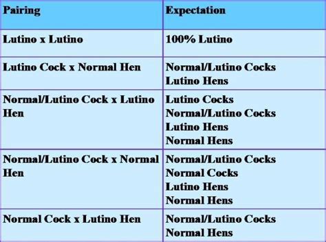 Agapornis Roseicollis Genetics Artofit