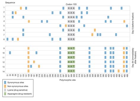 Solved Mating Migration Natural Selection And Mutation