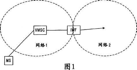 Service And Capability Negotiation In Network Using Single Numbering