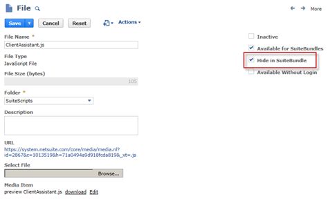 Netsuite Applications Suite Protecting Your Bundled Server Suitescripts