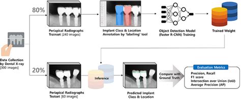 The Strategy For Data Collection To Data Split Annotation And Download Scientific Diagram