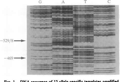 Figure 1 From Molecular And Population Genetic Analysis Of Allelic