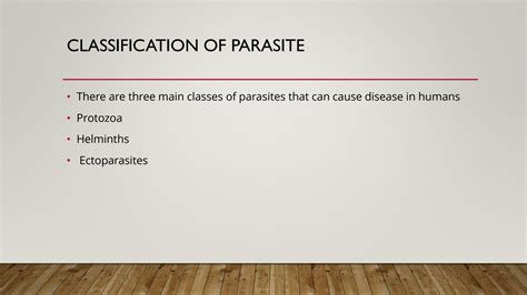Solution Lecture 2 Classification Of Parasites Medical Parasitology
