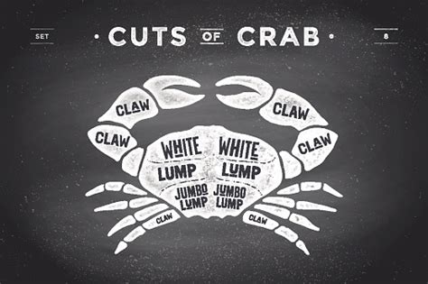 절단 고기류 설정할 수 있습니다 포스터 Butcher 다이어그램 및 기준 가정 주방에 대한 스톡 벡터 아트 및 기타 이미지 가정 주방 가정의 방 개체 그룹 Istock