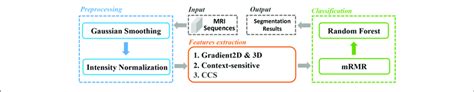 the pipeline of our proposed method download scientific diagram