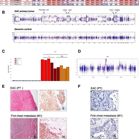 Tp53 P Arg282trp Mutation A Representation Of The Tp53 Mutation Download Scientific Diagram