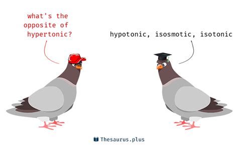 3 Hypertonic Antonyms Full List Of Opposite Words Of Hypertonic