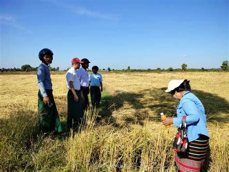 ရွှေတောင်မြို့နယ်တွင် စိုက်ပျိုးရေး၊ မွေးမြူရေးနှင့်ကုန်ထုတ်လုပ်မှုဖ