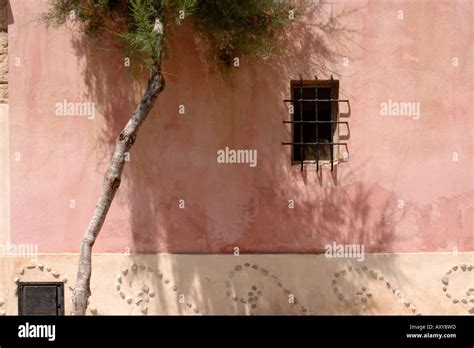 Tree And Window Stock Photo Alamy